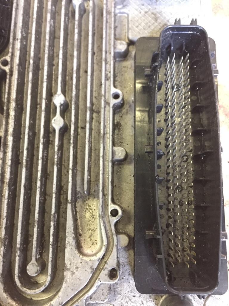 2015 Freightliner Cascadia ACM | Payless Truck Parts